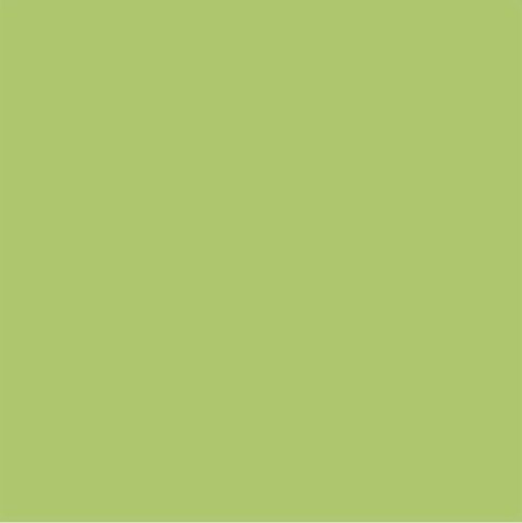 12x12 Marsh Green Solid Core Cardstock (9/pk) - Memory Crafting Australia